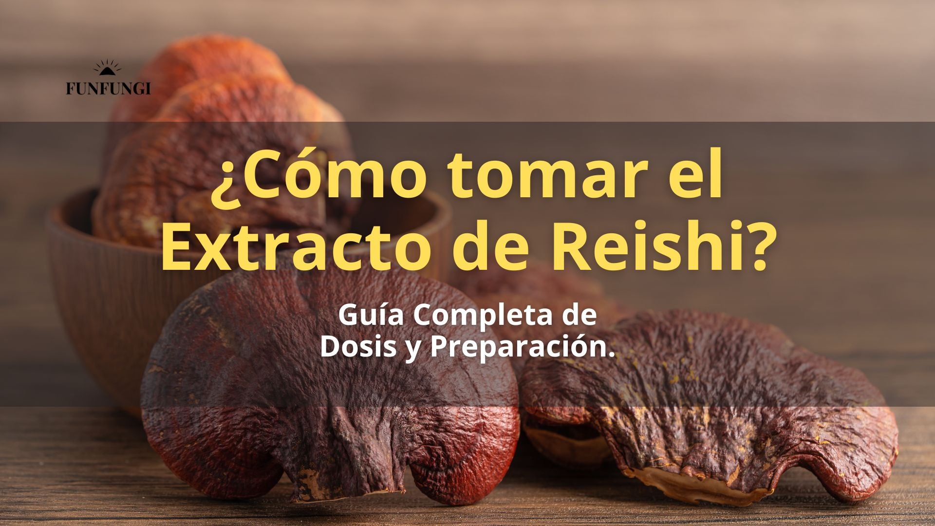 ¿Cómo tomar el Extracto de Reishi? Guía Completa de Dosis y Preparació – FunFungi